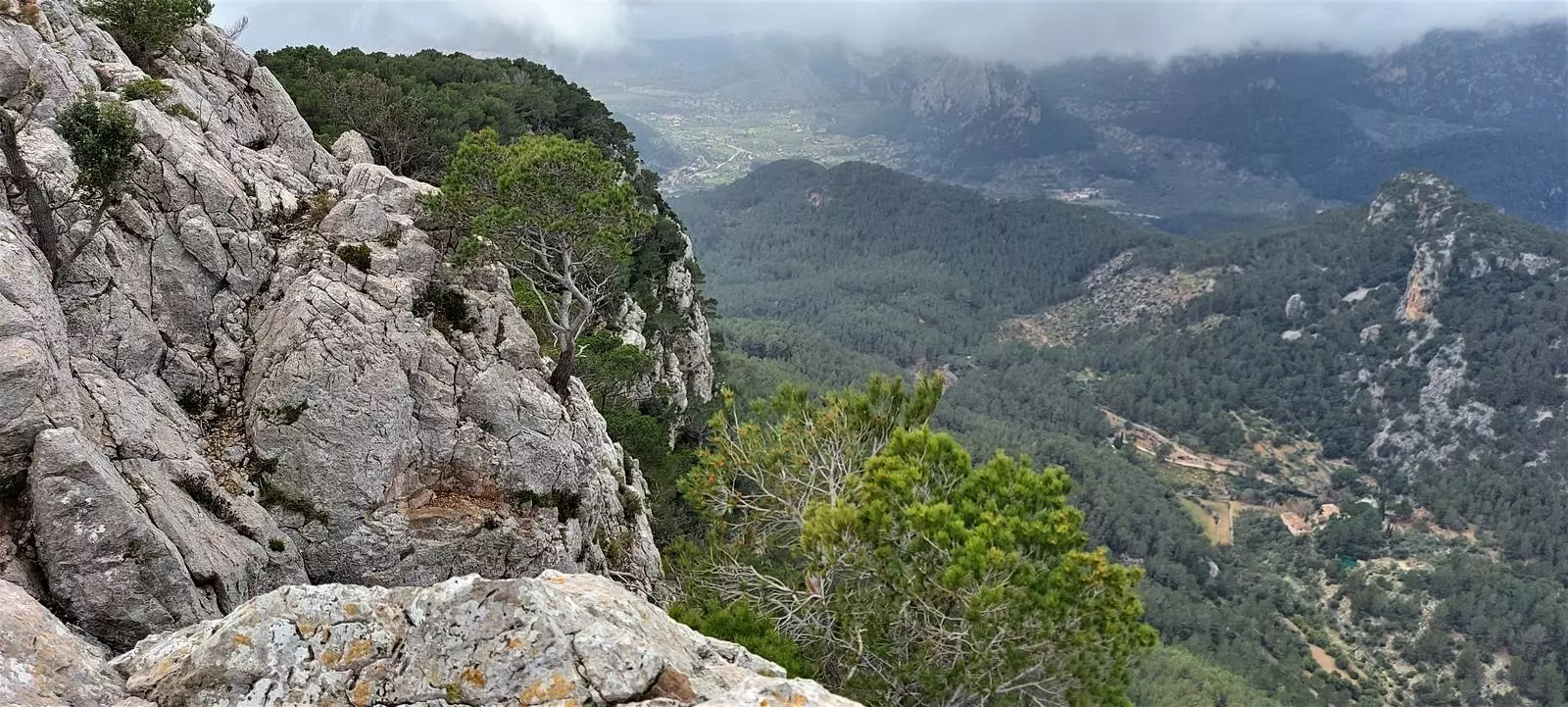A family-friendly trail through Bunyola forest I ROIG